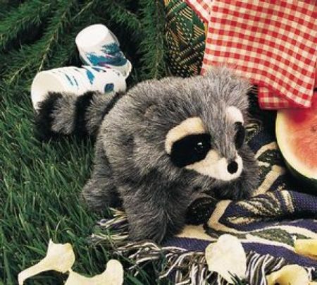 Folkmanis Puppet - Baby Raccoon - My Gifted Child